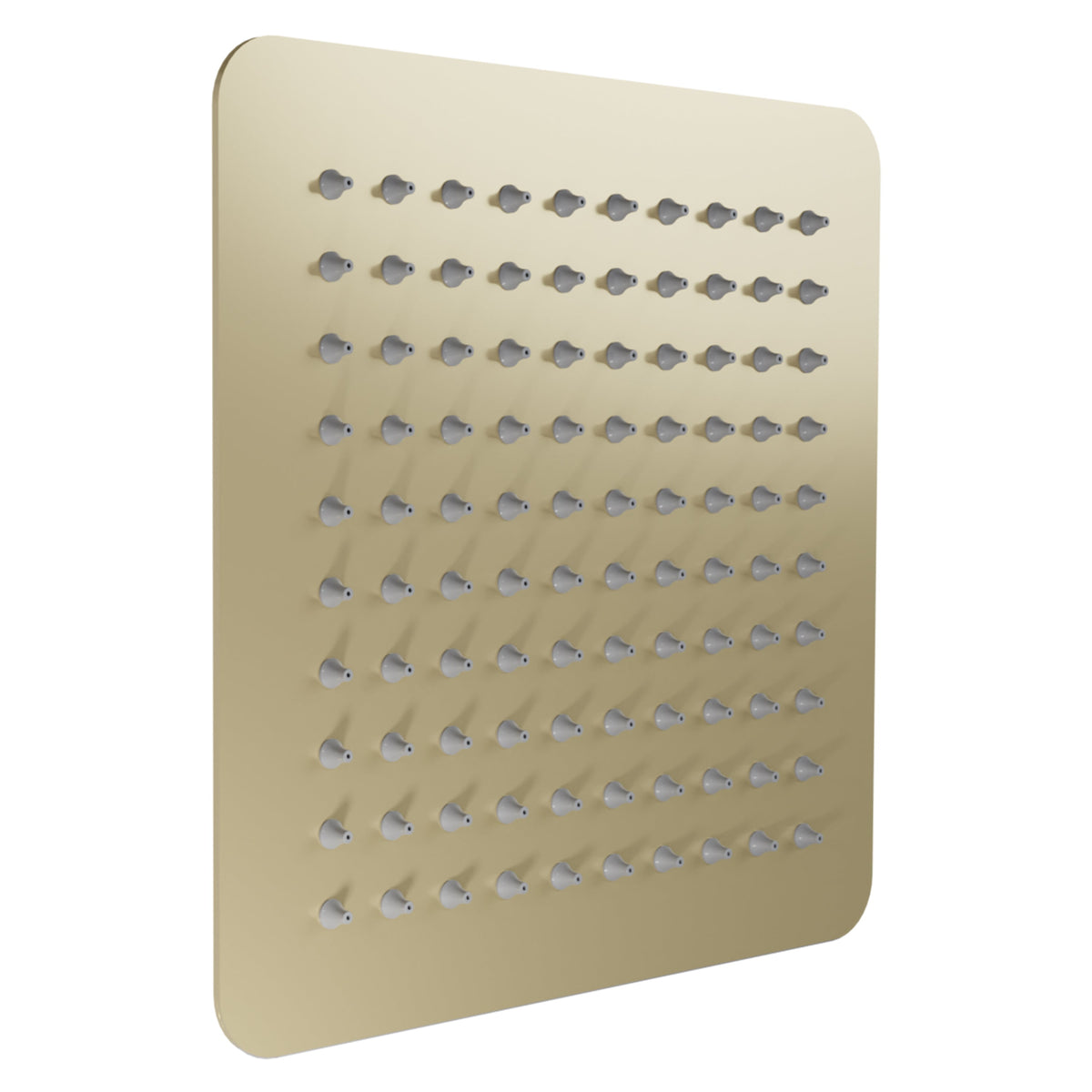 ZLINE Bliss 8 In. Shower Head in Champagne Bronze (BLS-H8-CB) — The ...